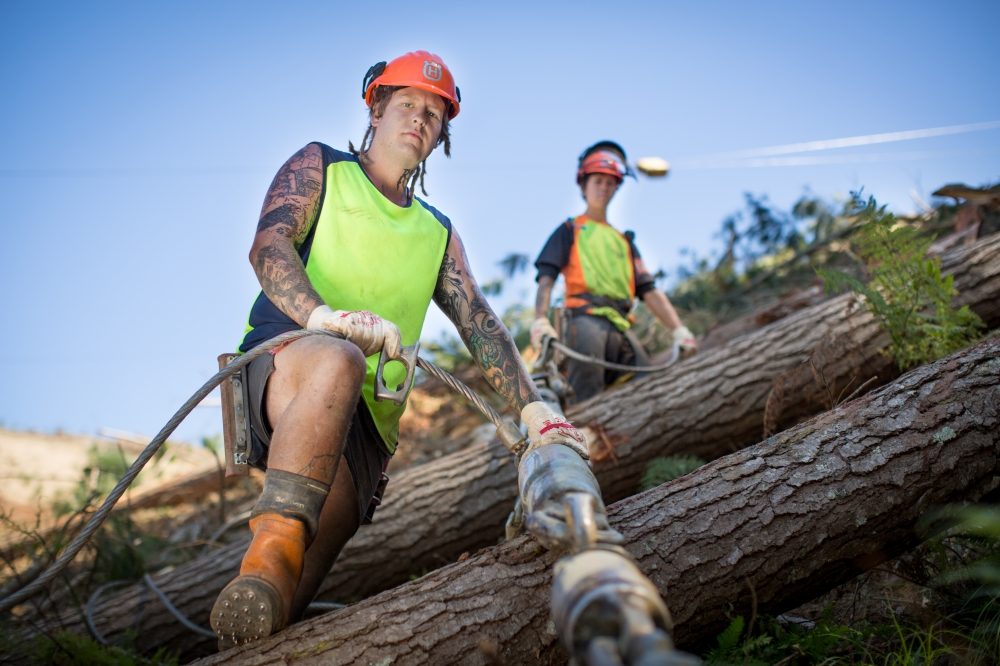 Discounted counselling services for forestry workers
