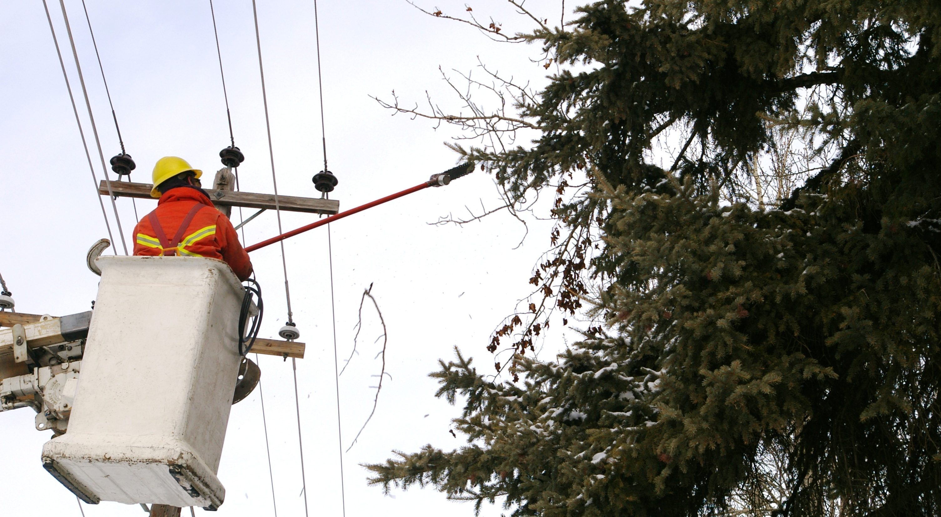 A hard lesson in working near powerlines - Industrial Safety News Magazine