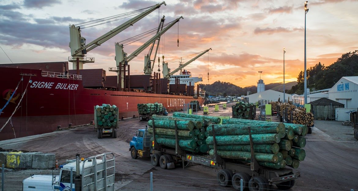 Gisborne fatality after cable snapped on Taiwanese operated ship