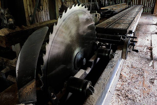 Young worker's career cut short by unsafe machinery - Industrial Safety ...